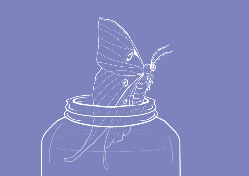 ICOFOM STUDY SERIES: Vol 52-1: 2024. Decolonizing academic disciplines ...